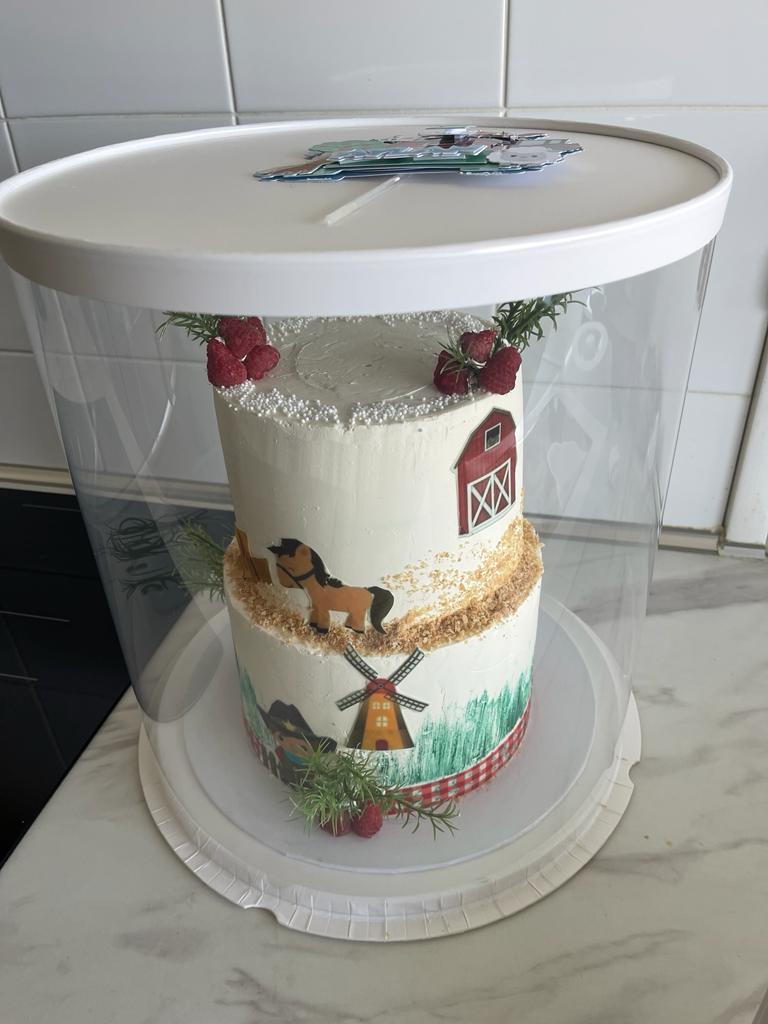 LA GOURMANDE - Boite à Gateaux 32 x 34 cm - ronde transparente et blan ...